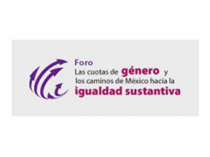 Manual para el uso de Lenguaje Ciudadano e Incluyente para el INE - Igualdad de Género y No ...