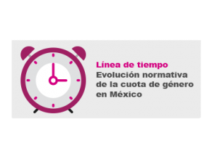 Manual para el uso de Lenguaje Ciudadano e Incluyente para el INE - Igualdad de Género y No ...